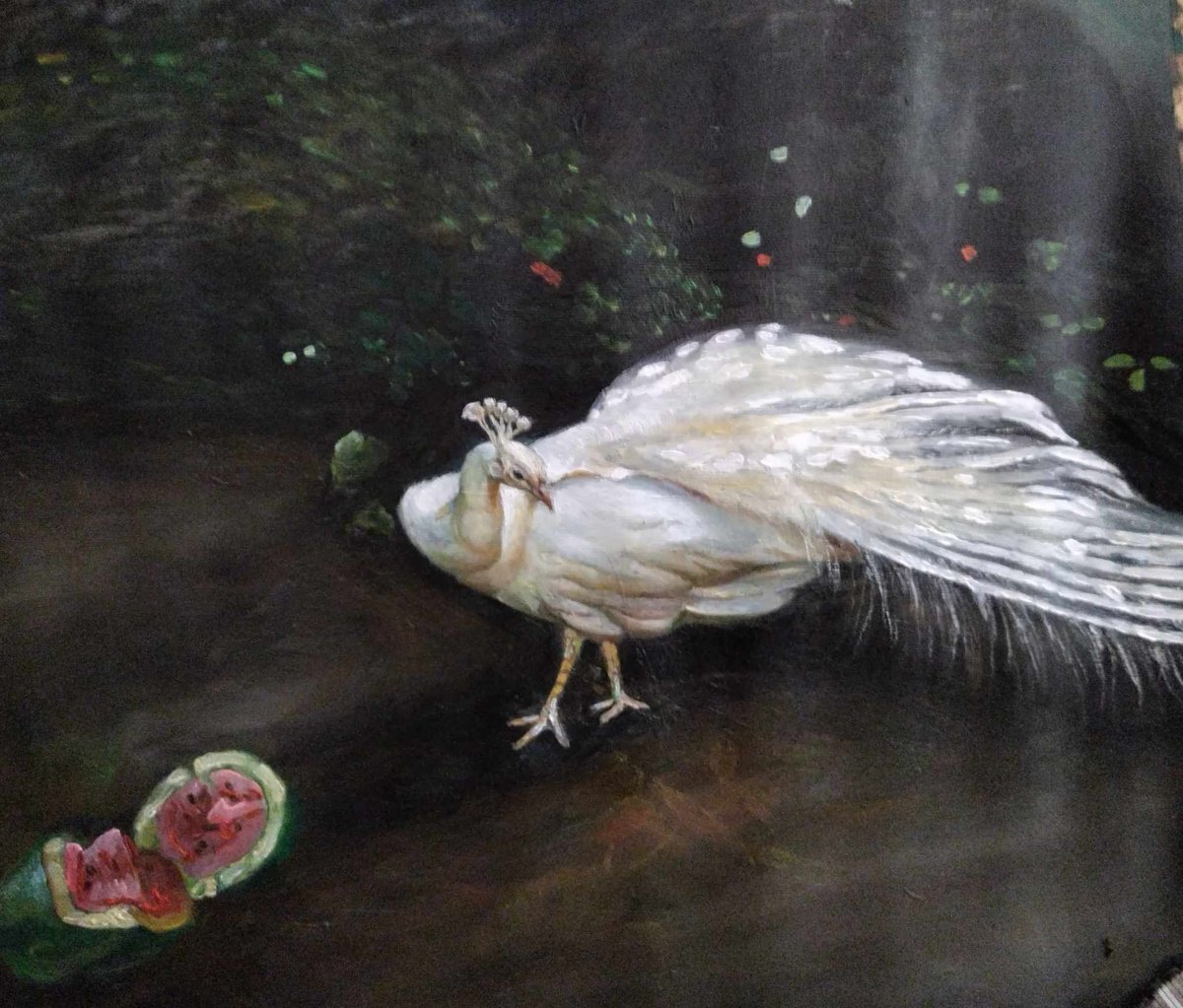 White peacock Oil painting by Viktória Déri | Artfinder