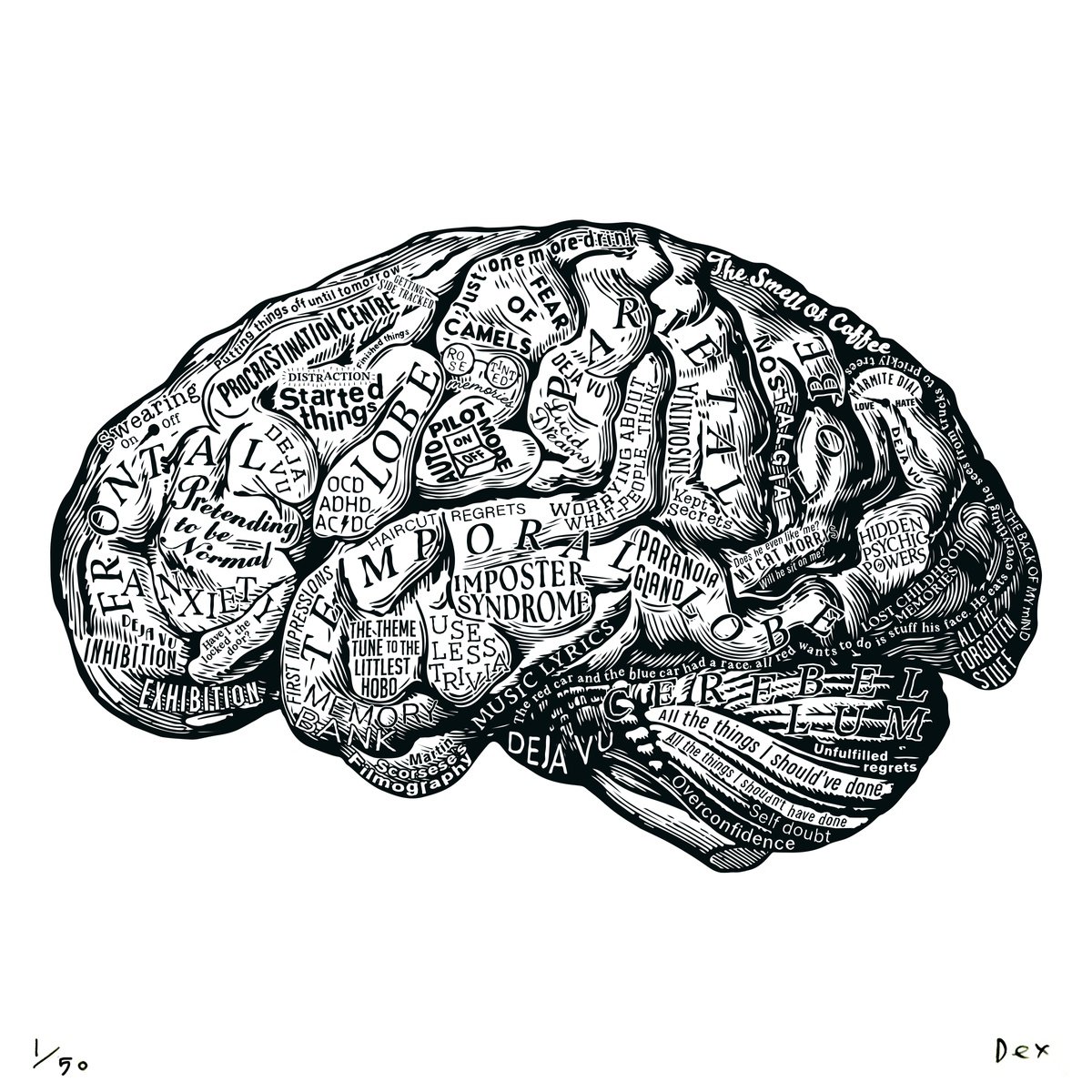 Anatomy Of The Brain Screenprint: Dex | Artfinder