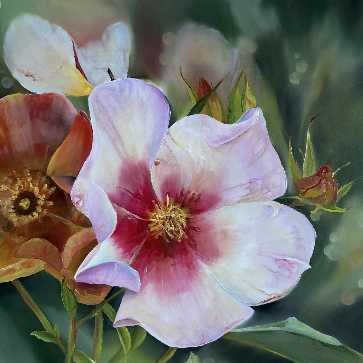 Hybrid rose Dog-rose Oil painting: Myroslava Denysyuk | Artfinder