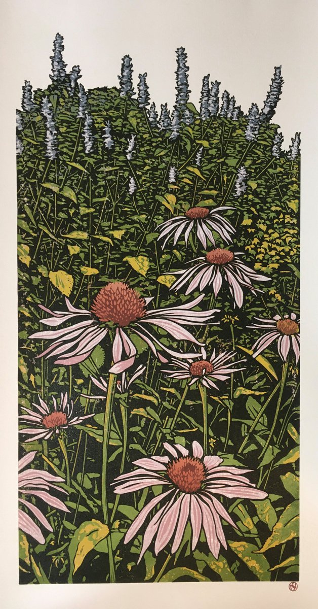 Echinacea and Agastache (version 1) - large Linocut: Susan Noble ...
