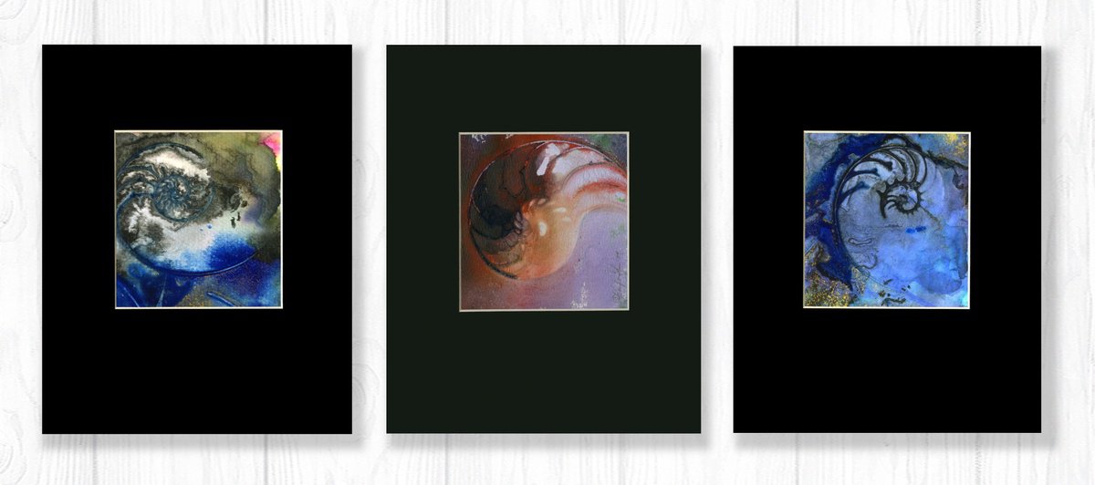 Nautilus Shell Collection 8 Mixed-media painting: Kathy Morton Stanion ...