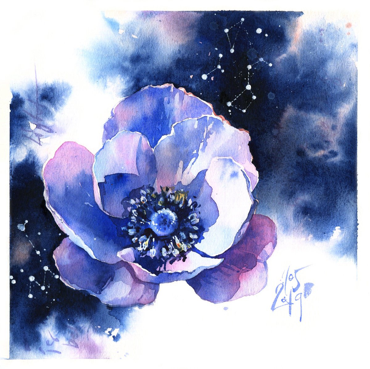 Anemone. Cosmic flower Watercolour: Ksenia Selianko | Artfinder