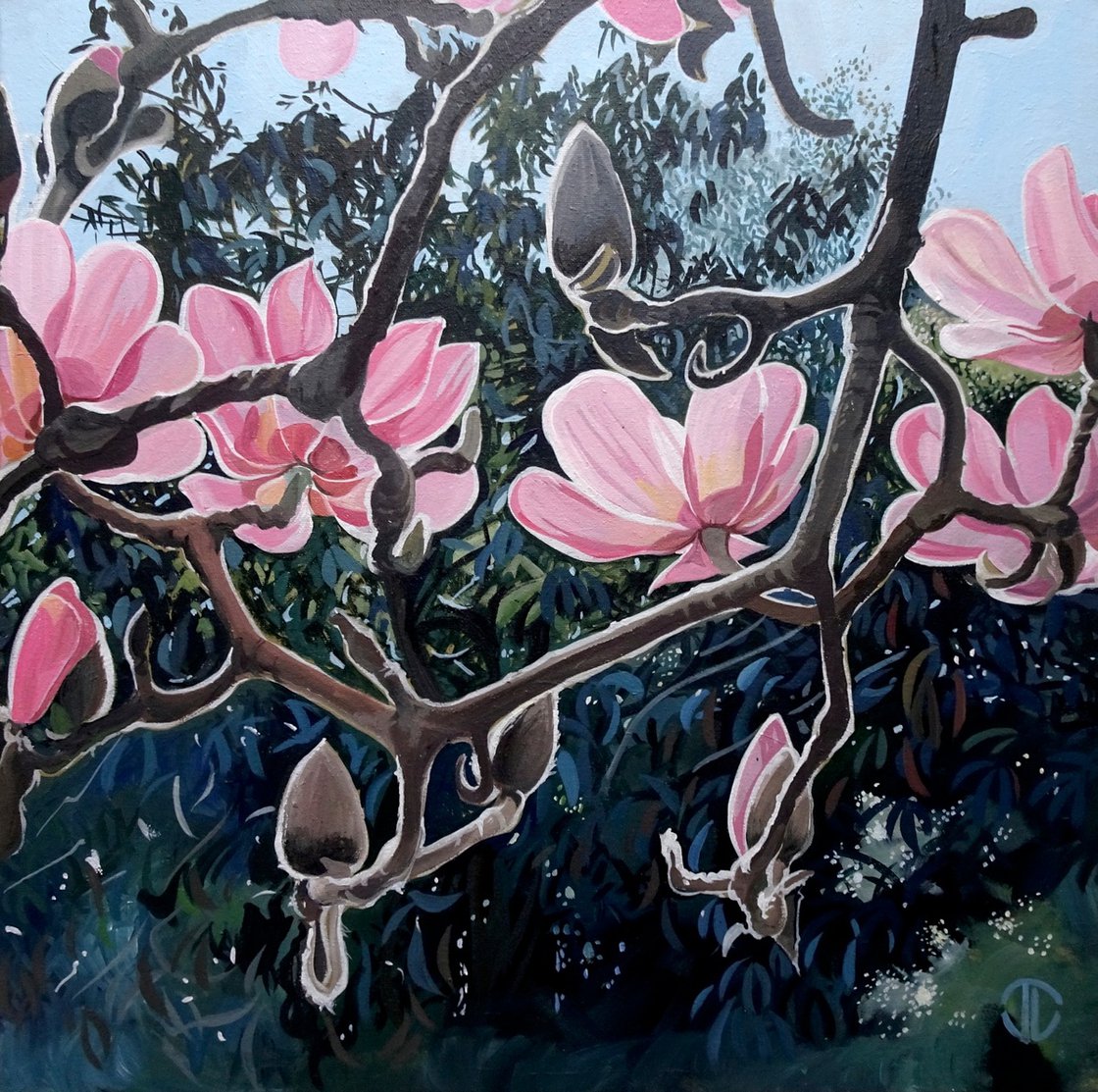 Original Acrylic Painting - Magnolia Campbelli by Joseph Lynch