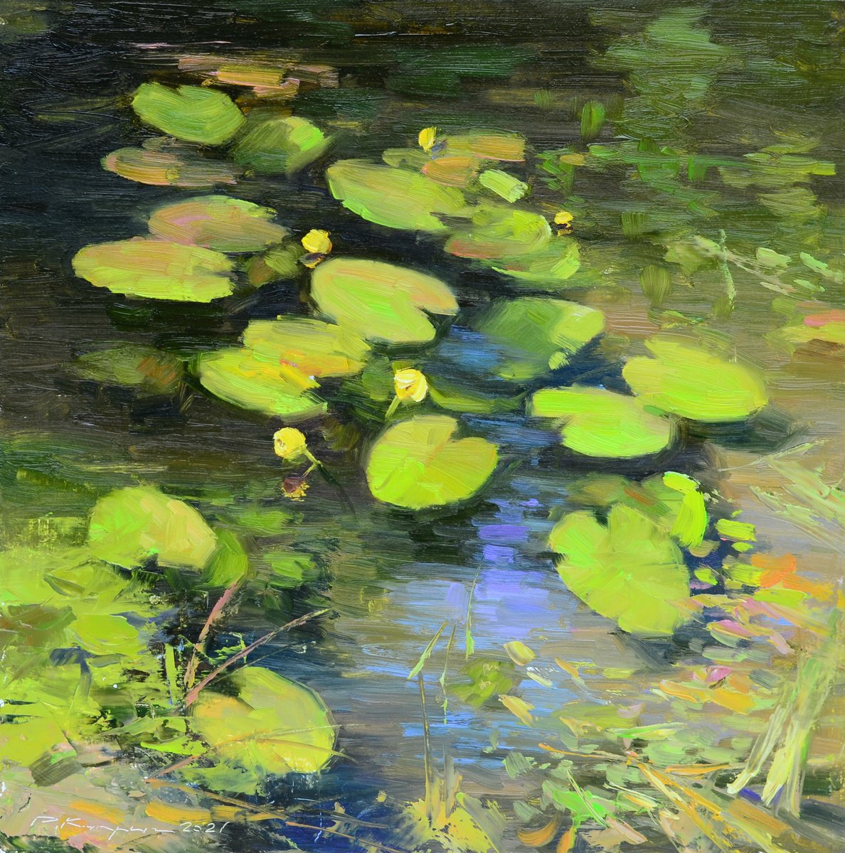 Water lilies by the shore Oil painting: Ruslan Kiprych | Artfinder