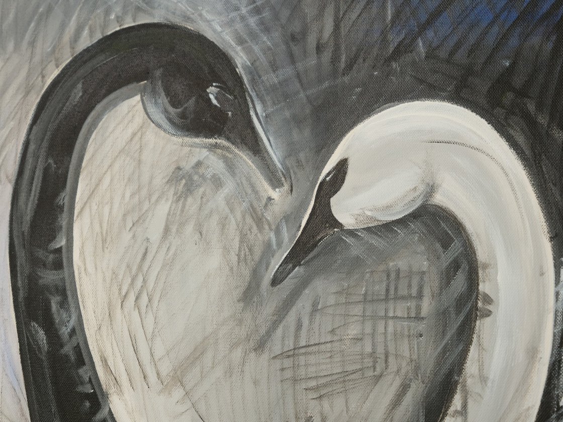 Original Acrylic Painting - Swans and Their Shadows by Eliry Arts