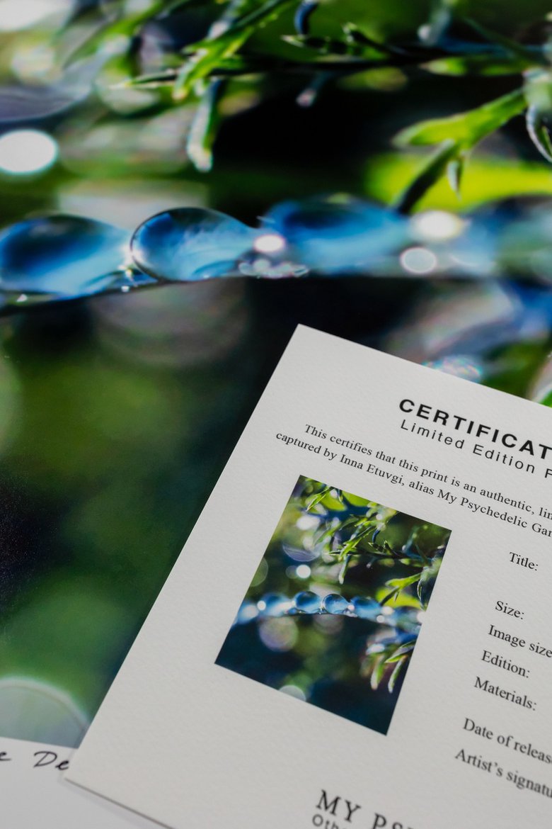 Blue Dew Photograph: Inna Etuvgi | Artfinder