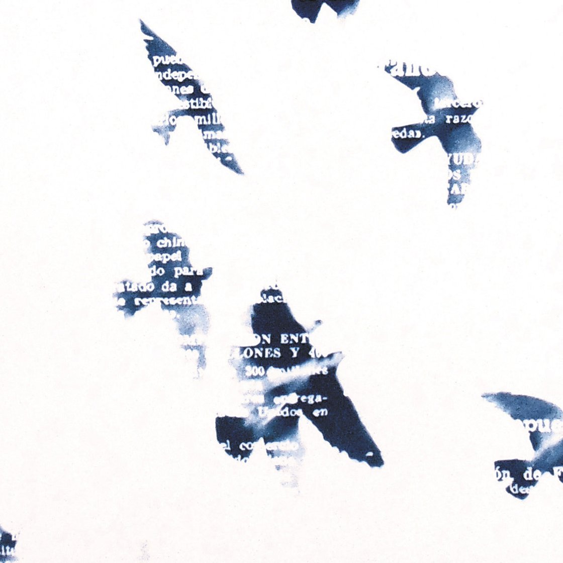 Cyanotype 03 Birds Print: Manel Villalonga | Artfinder
