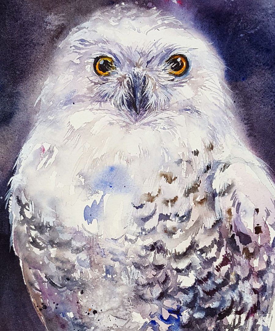 Misty _Owl Watercolour by Arti Chauhan | Artfinder