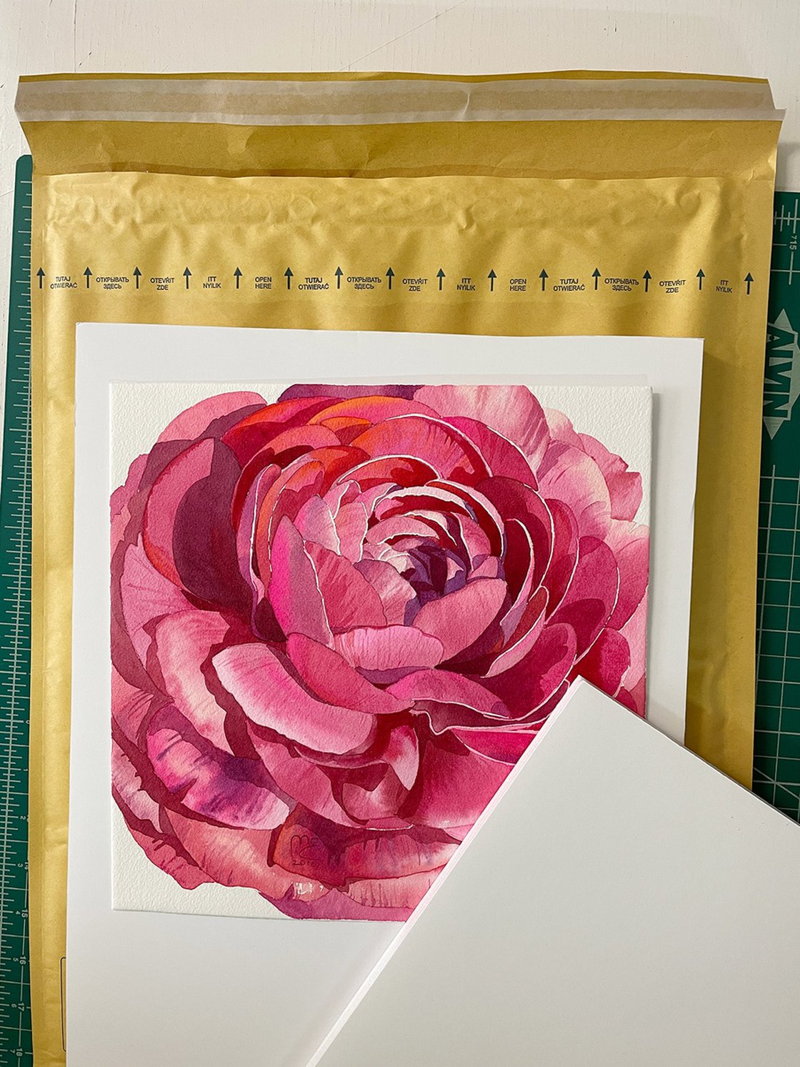 Bright pink Ranunculus flower Watercolour: Eleanor Mill | Artfinder