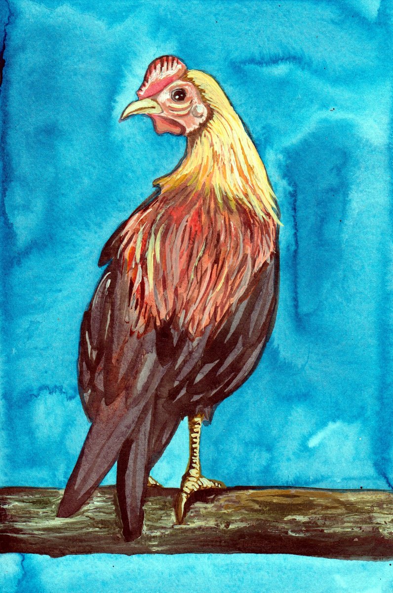 Mini-Chicken Mixed-media painting by Terri Smith | Artfinder