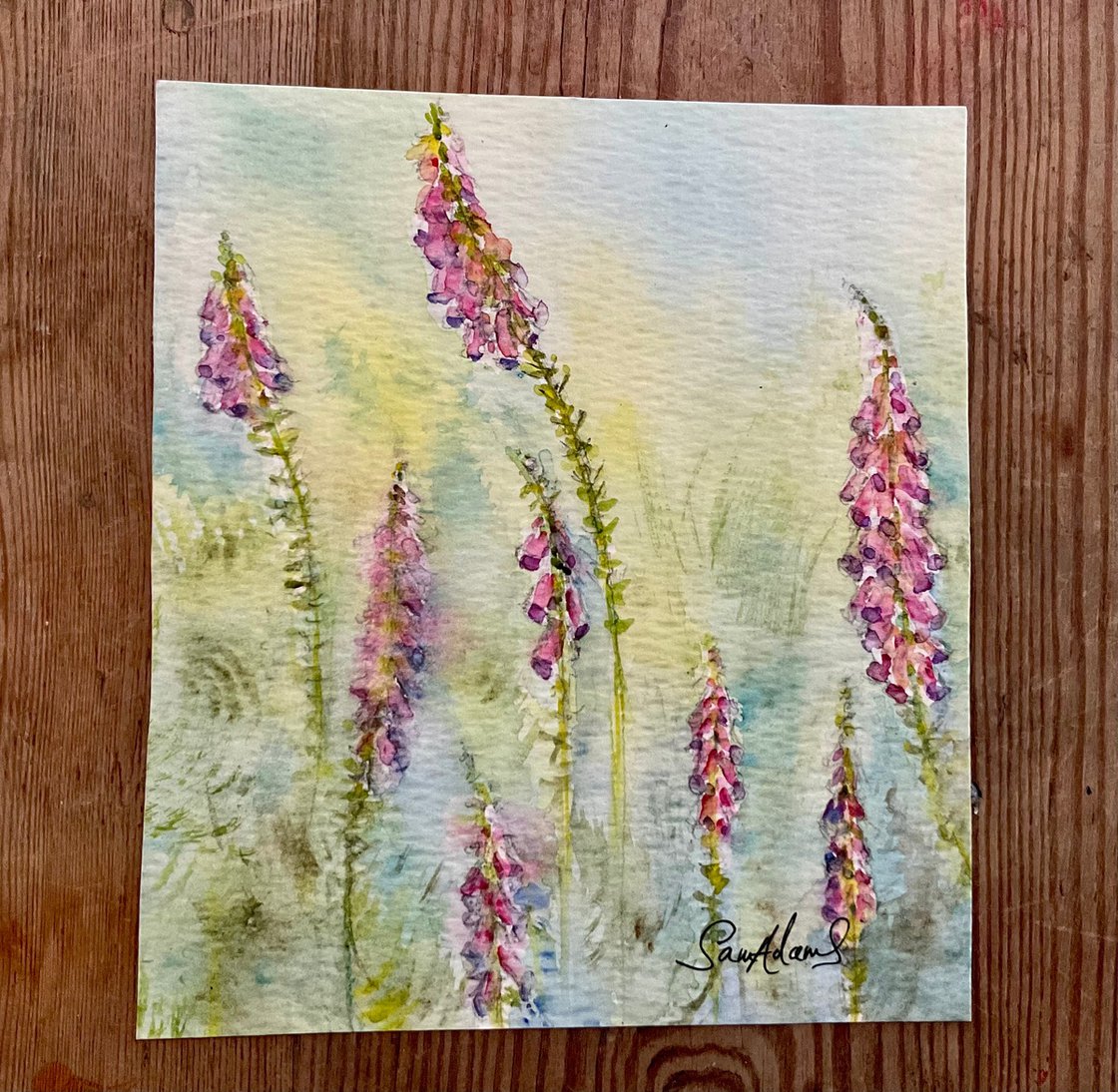 In the foxglove dell Watercolour: Samantha Adams | Artfinder