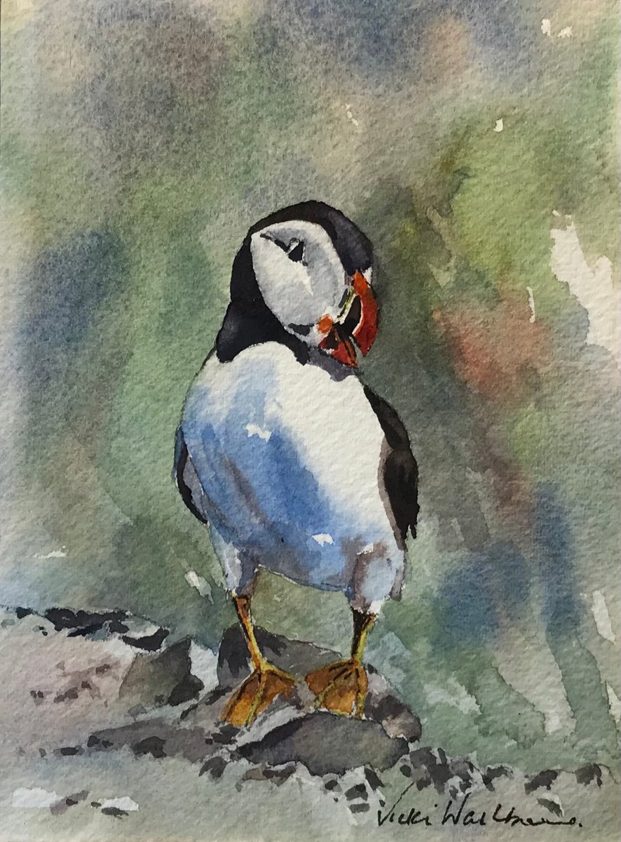 Puffin Watercolour by Vicki Washbourne | Artfinder
