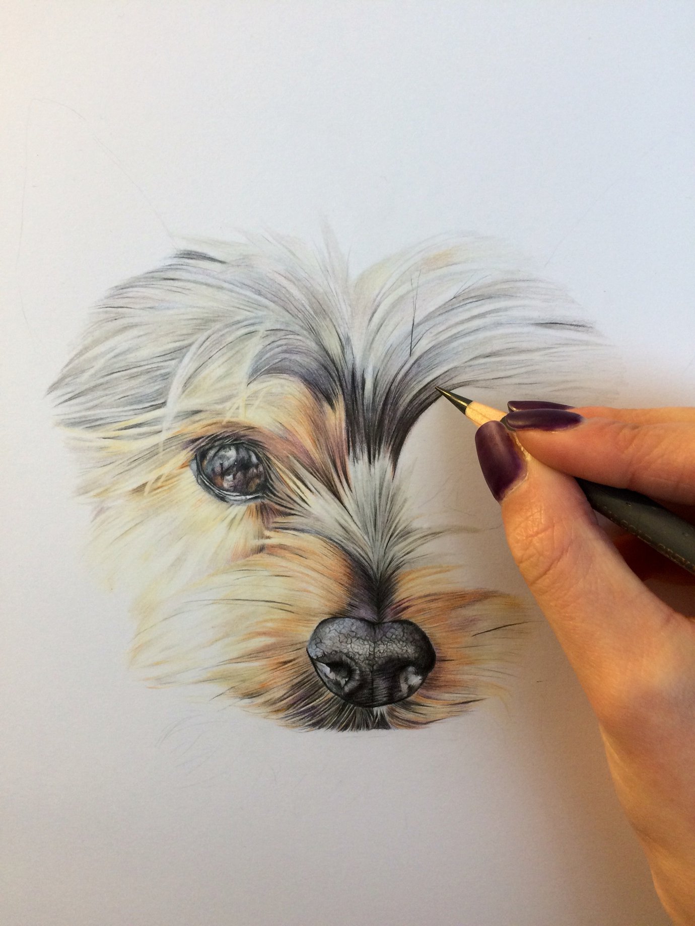 Gemma Duffield - Latest from Artist Studio | Artfinder