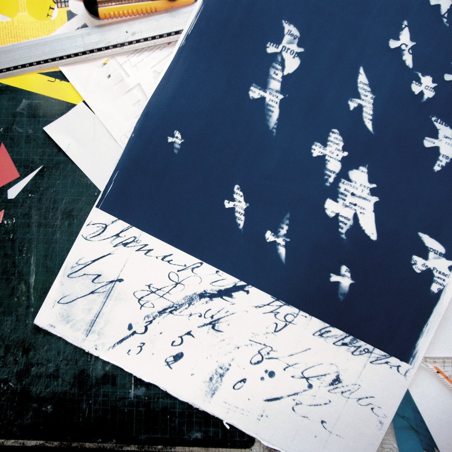 Cyanotype 02 Birds Print: Manel Villalonga | Artfinder