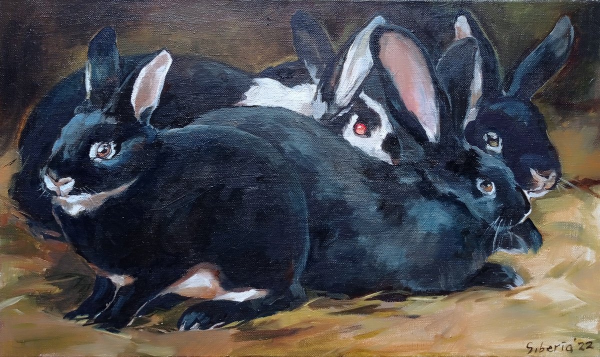 Live velvet. Black rabbits Oil painting by Elena Utkina | Artfinder