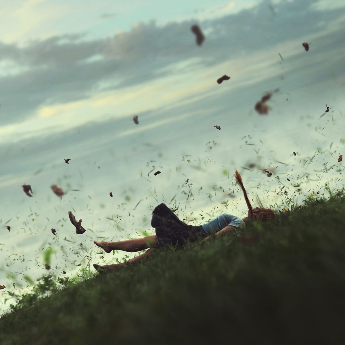 Fall from the Ground Photograph: Zuzana Uhlíková | Artfinder