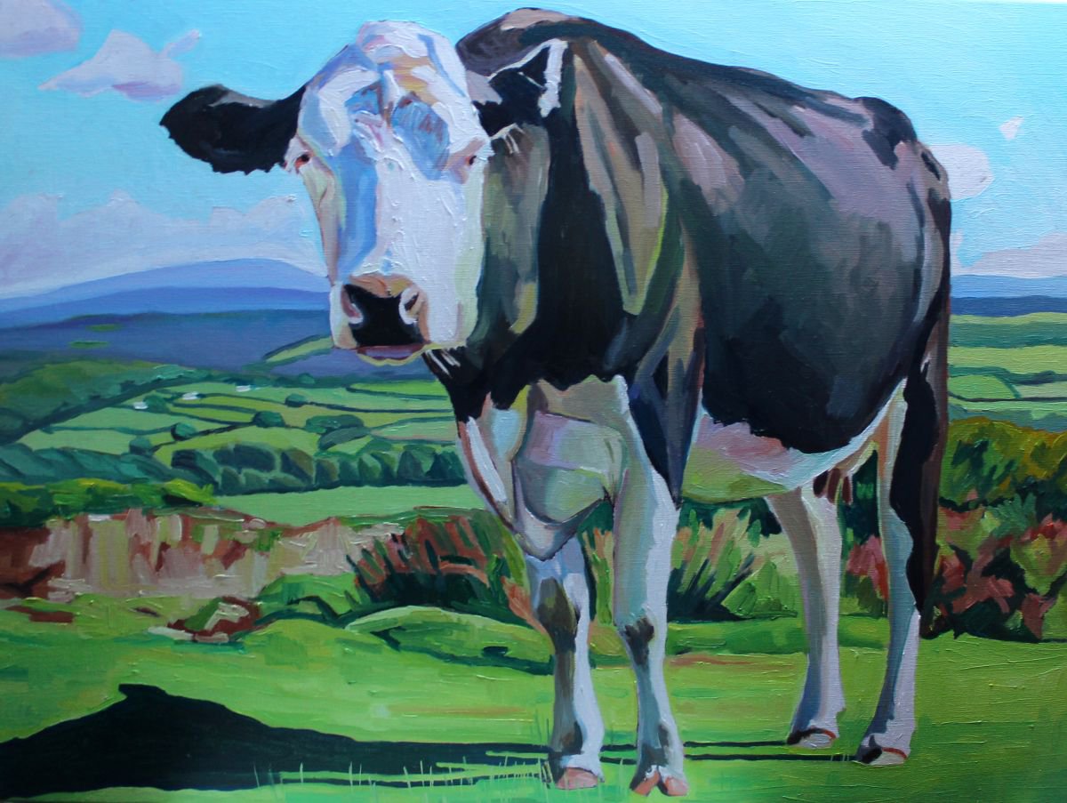 Gower Cow Oil painting by Emma Cownie | Artfinder