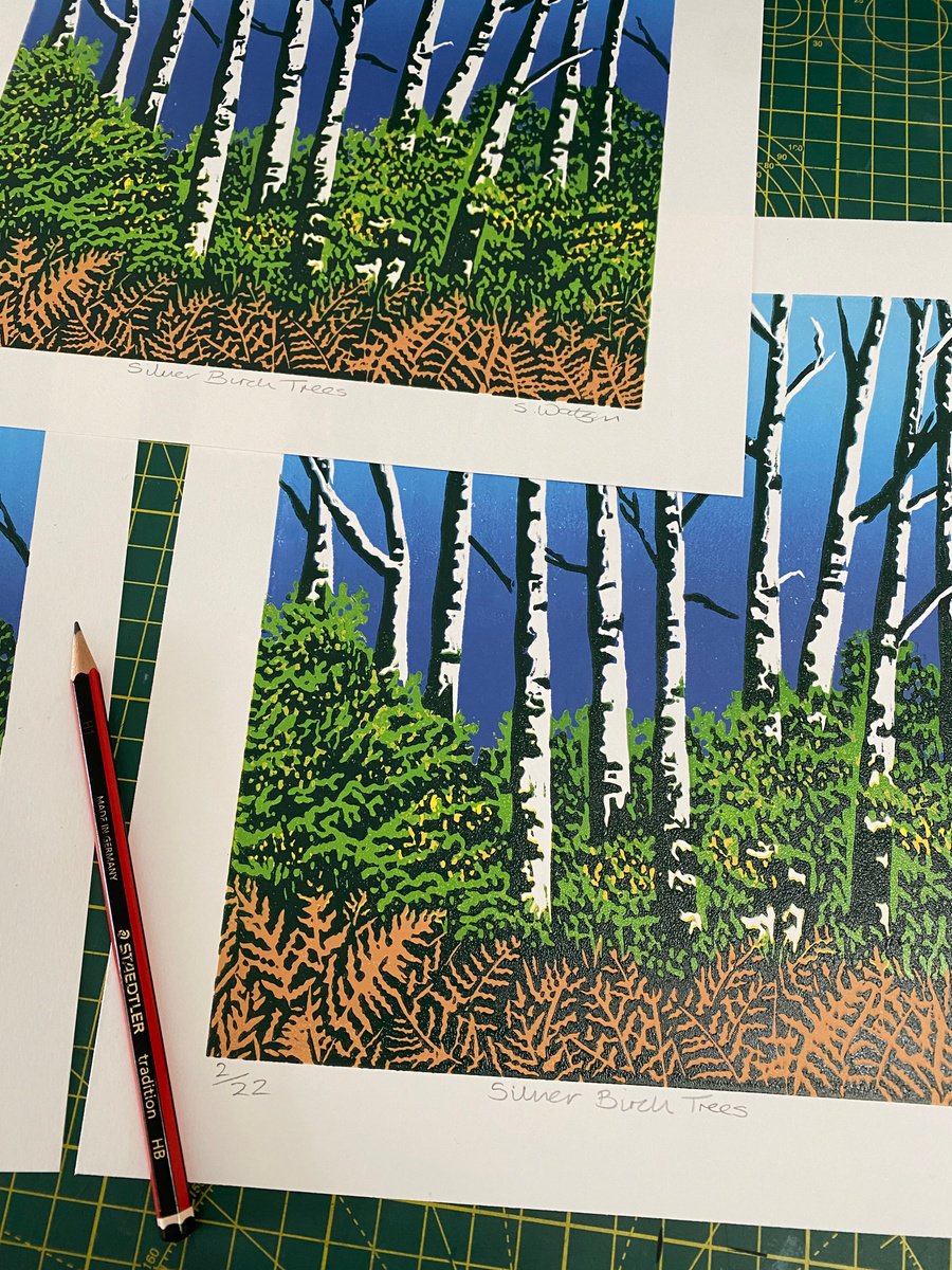 Silver Birch Trees Linocut: Shirley Watson | Artfinder