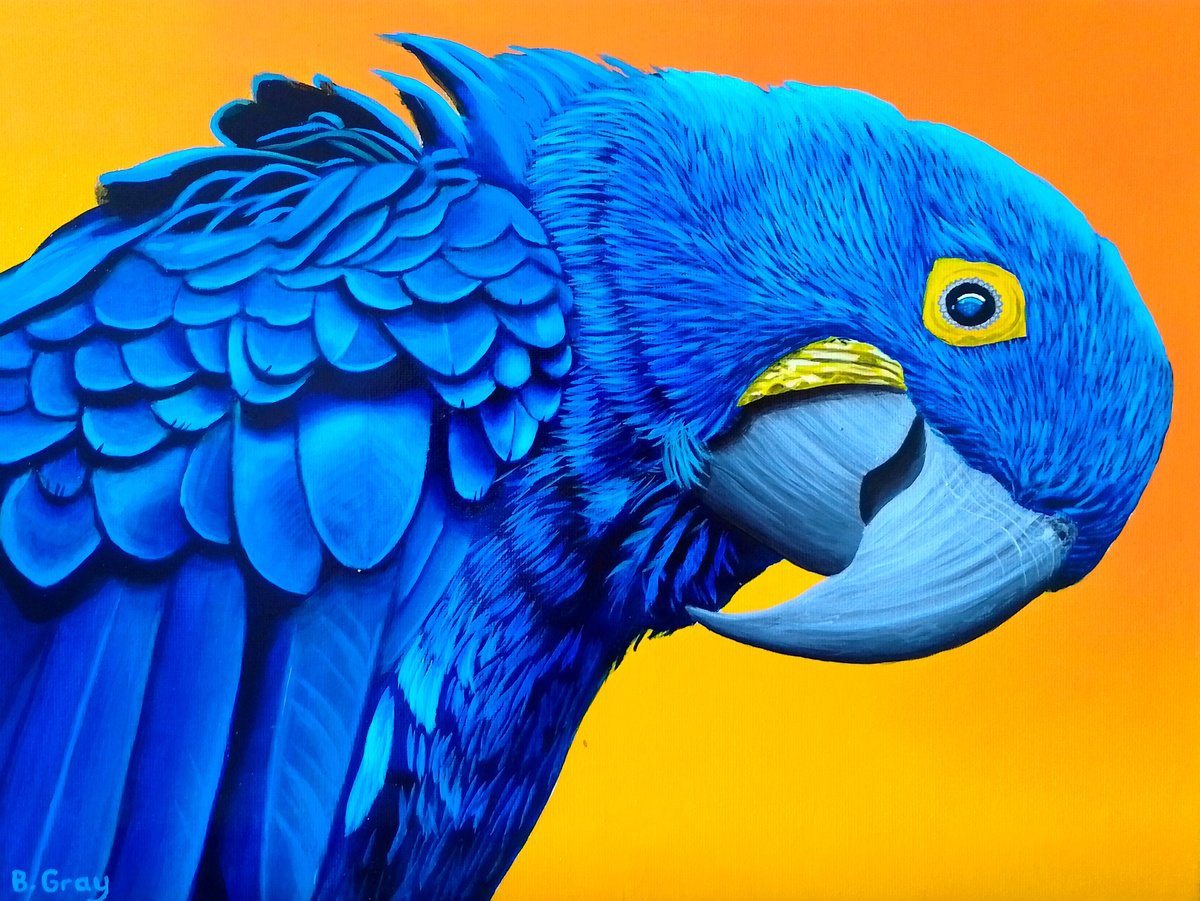 Blue parrot Acrylic painting by Barry Gray | Artfinder