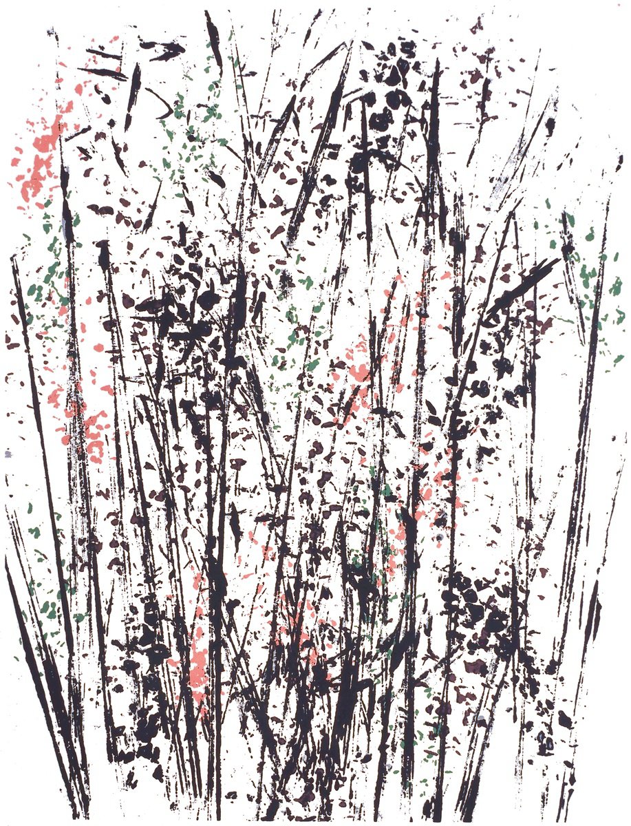 Shadow Grasses Screenprint: Francis Stanton | Artfinder