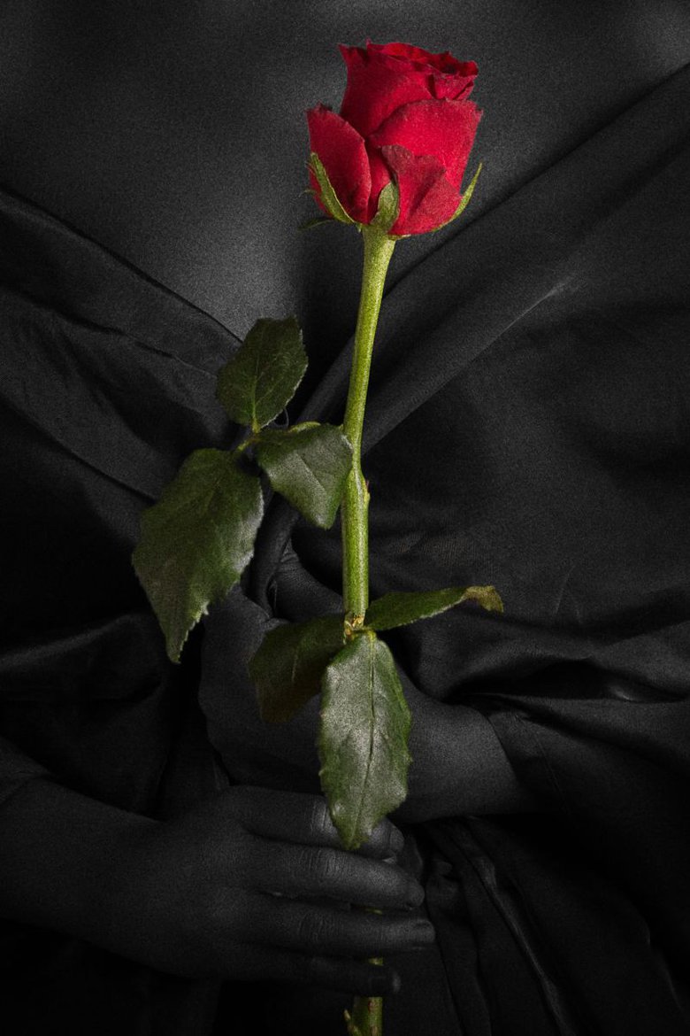 The Rose of Paracelsus Photograph: Peter Zelei | Artfinder