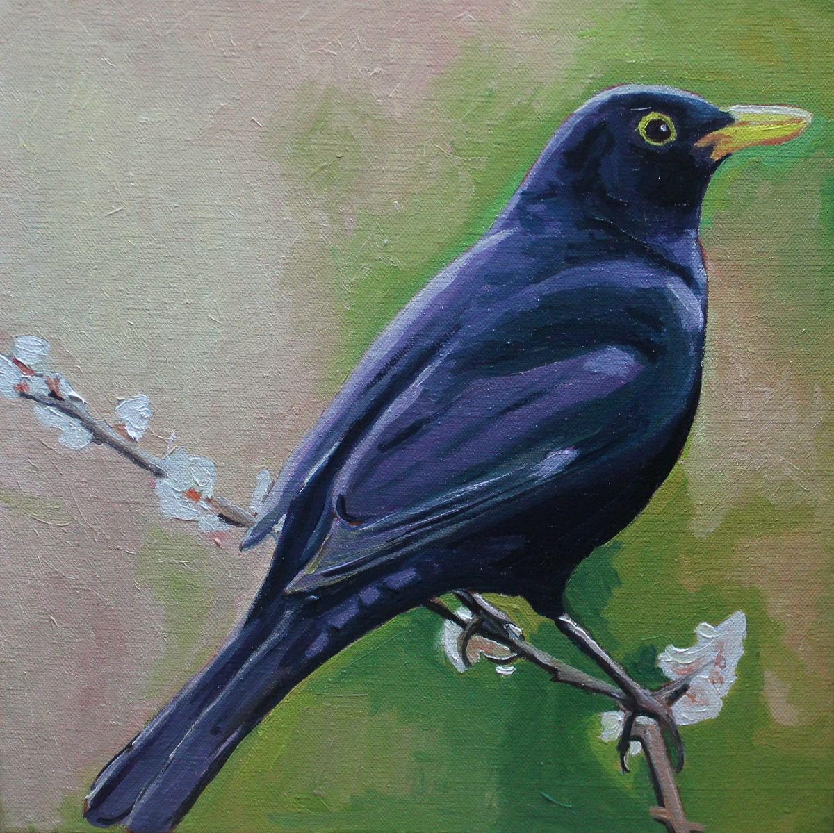 Blackbird #1 (2017) Oil painting by Emma Cownie | Artfinder