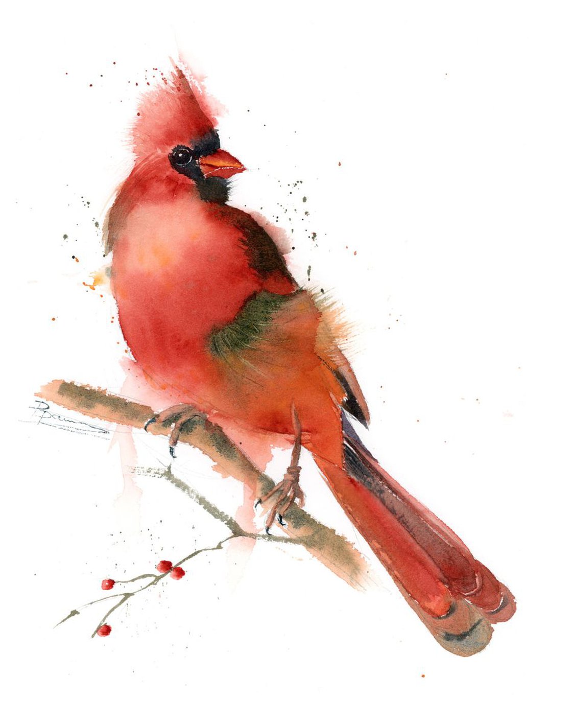 Red Cardinal Original Watercolor Watercolour: Olga Tchefranov ...
