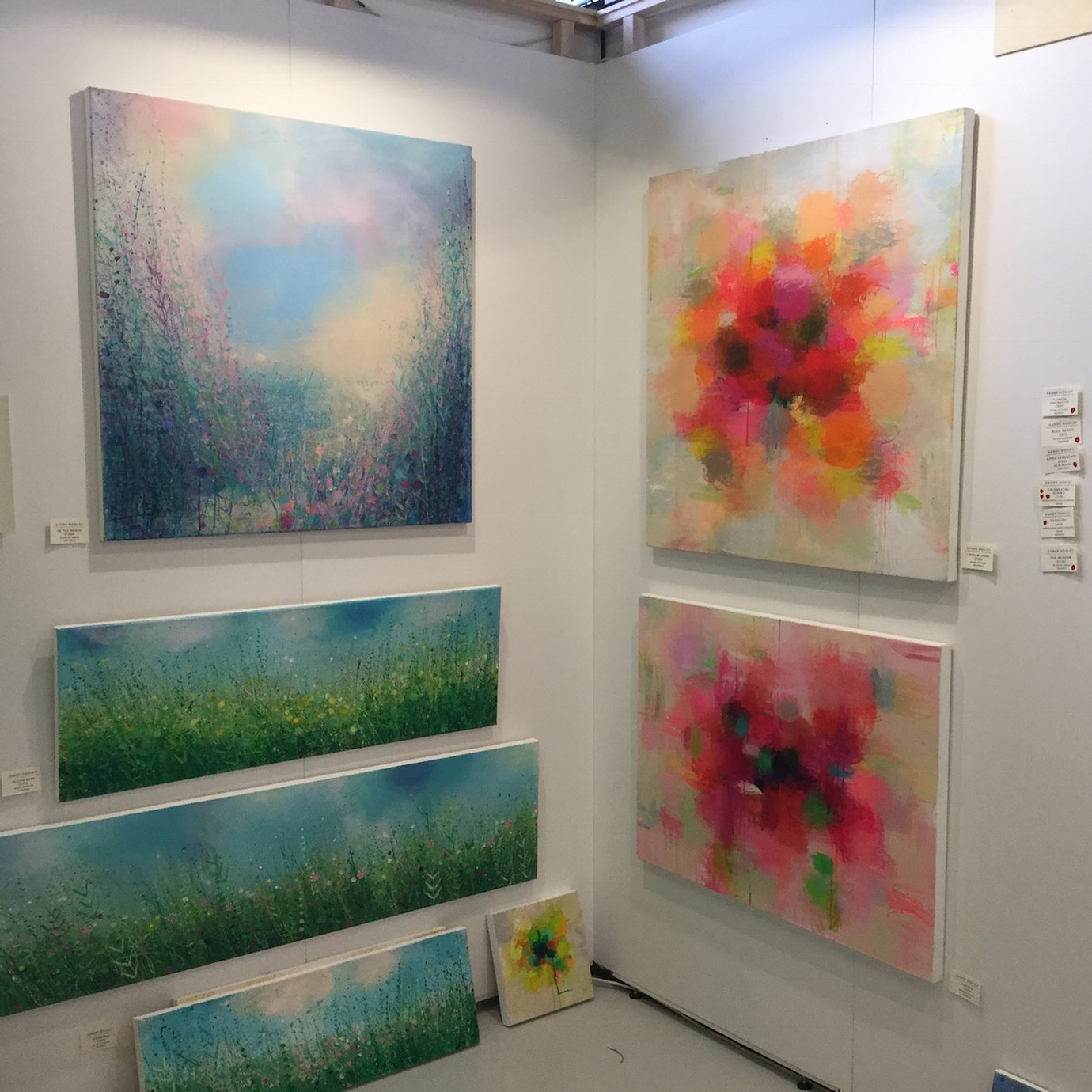 Sandy Dooley - Latest from Artist Studio | Artfinder