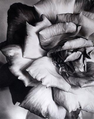 Still life art | Artfinder