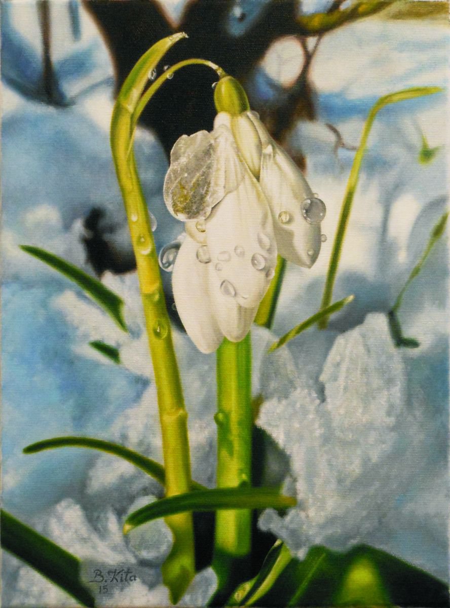 Snow Flower (2015) Oil painting by Bledi Kita | Artfinder