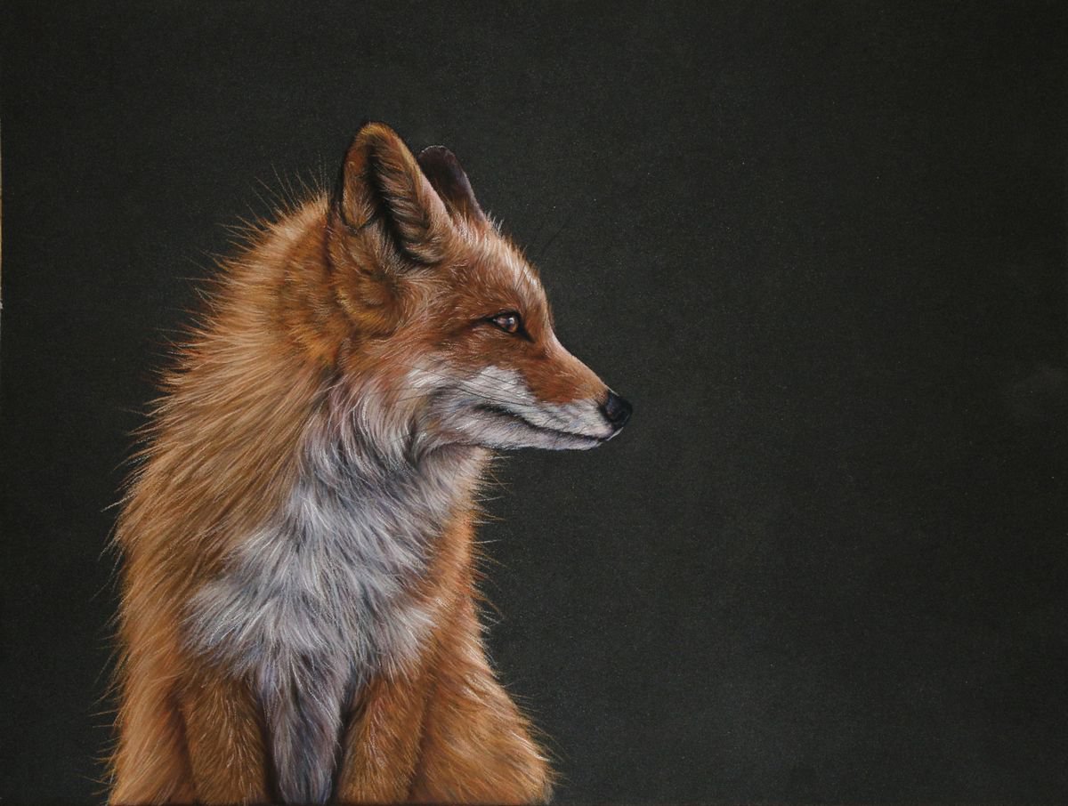 Fox portrait Pastel drawing by Tatjana Bril | Artfinder