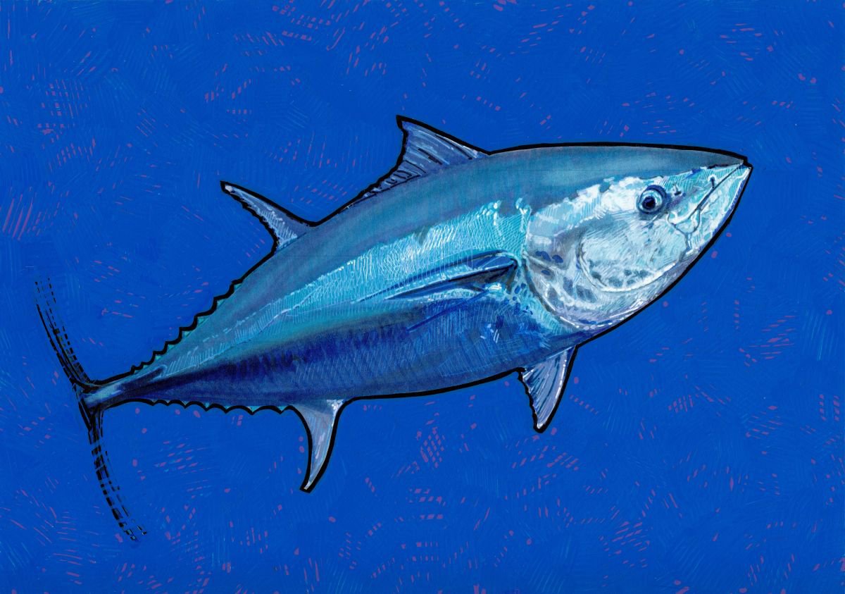 Bluefin tuna 01 - SOLD by Carlos J. Marquez | Artfinder
