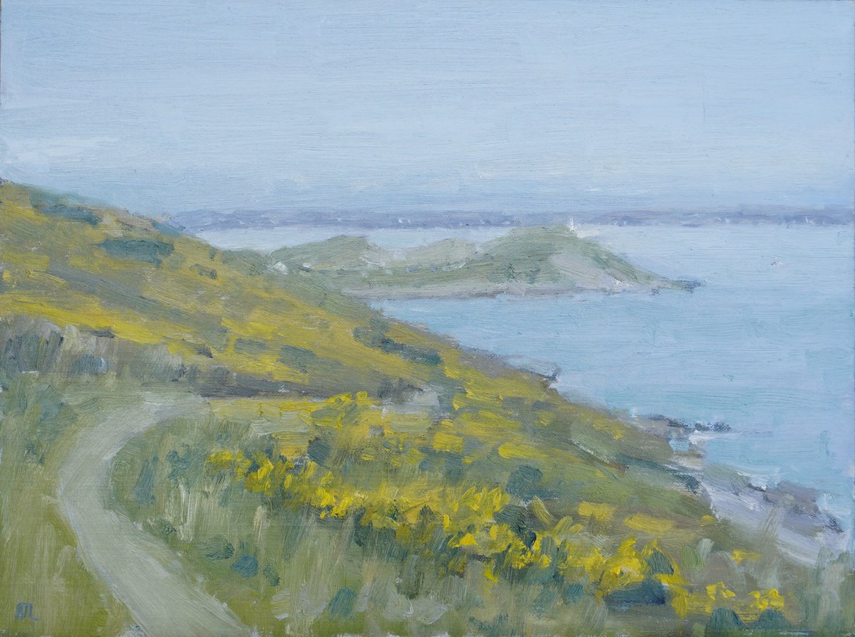 Mumbles Cliff Path Oil painting: Alex James Long | Artfinder