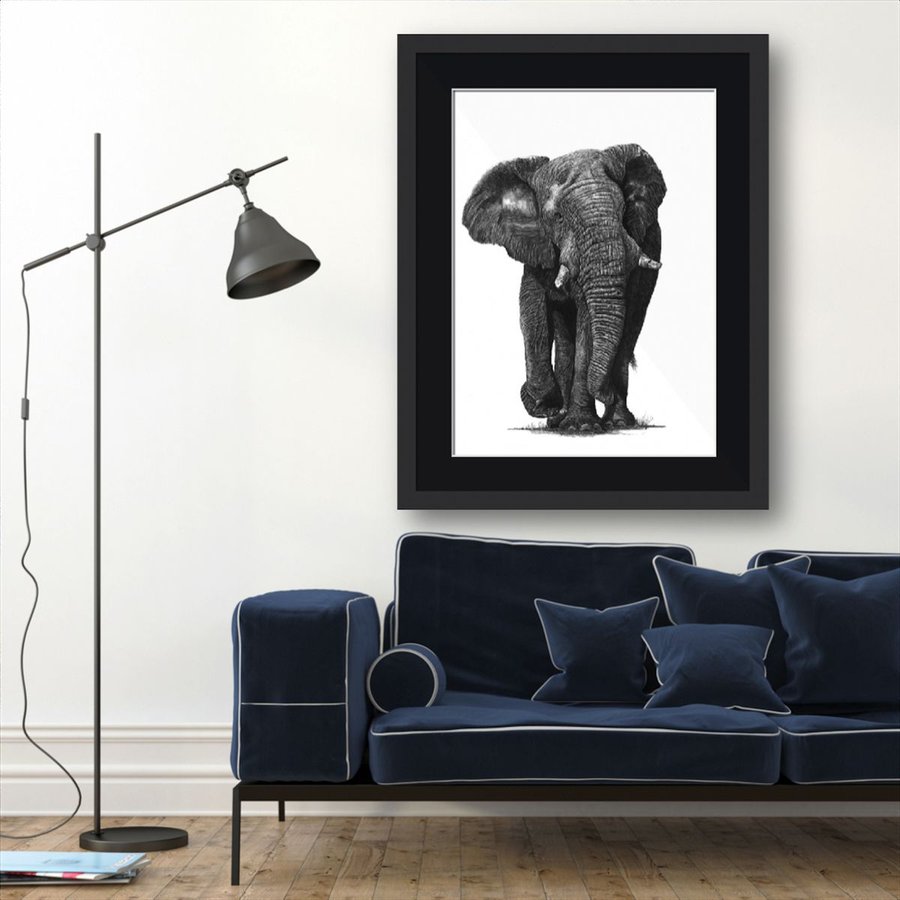 Titan (Jnr.) Pencil drawing: Paul Stowe | Artfinder