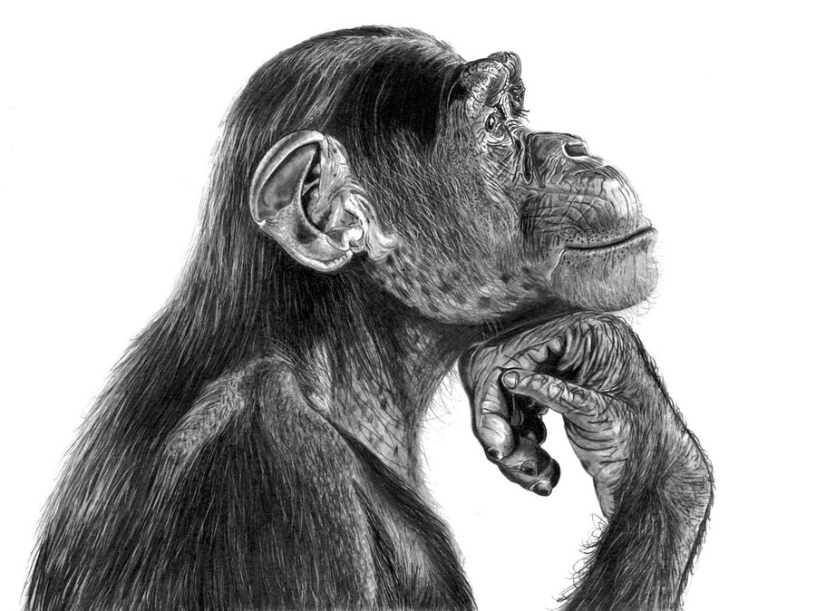 The Thinker Pencil drawing: Paul Stowe | Artfinder