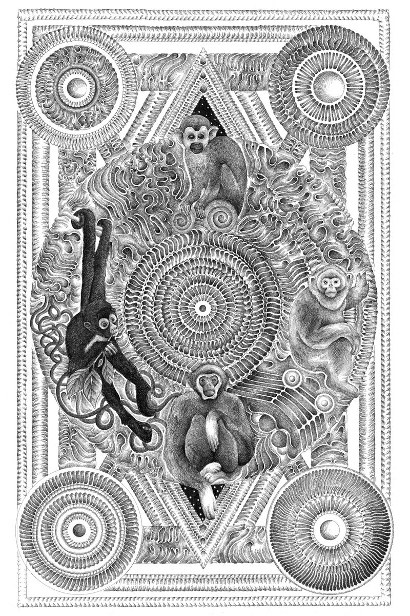 Hamplorrinoforme Ink drawing: Mariana Renteria Garnica