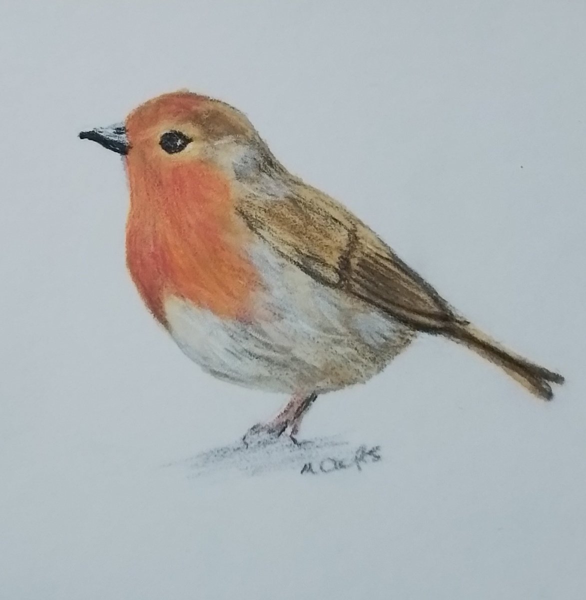Robin 3 Painting by Maureen Crofts | Artfinder