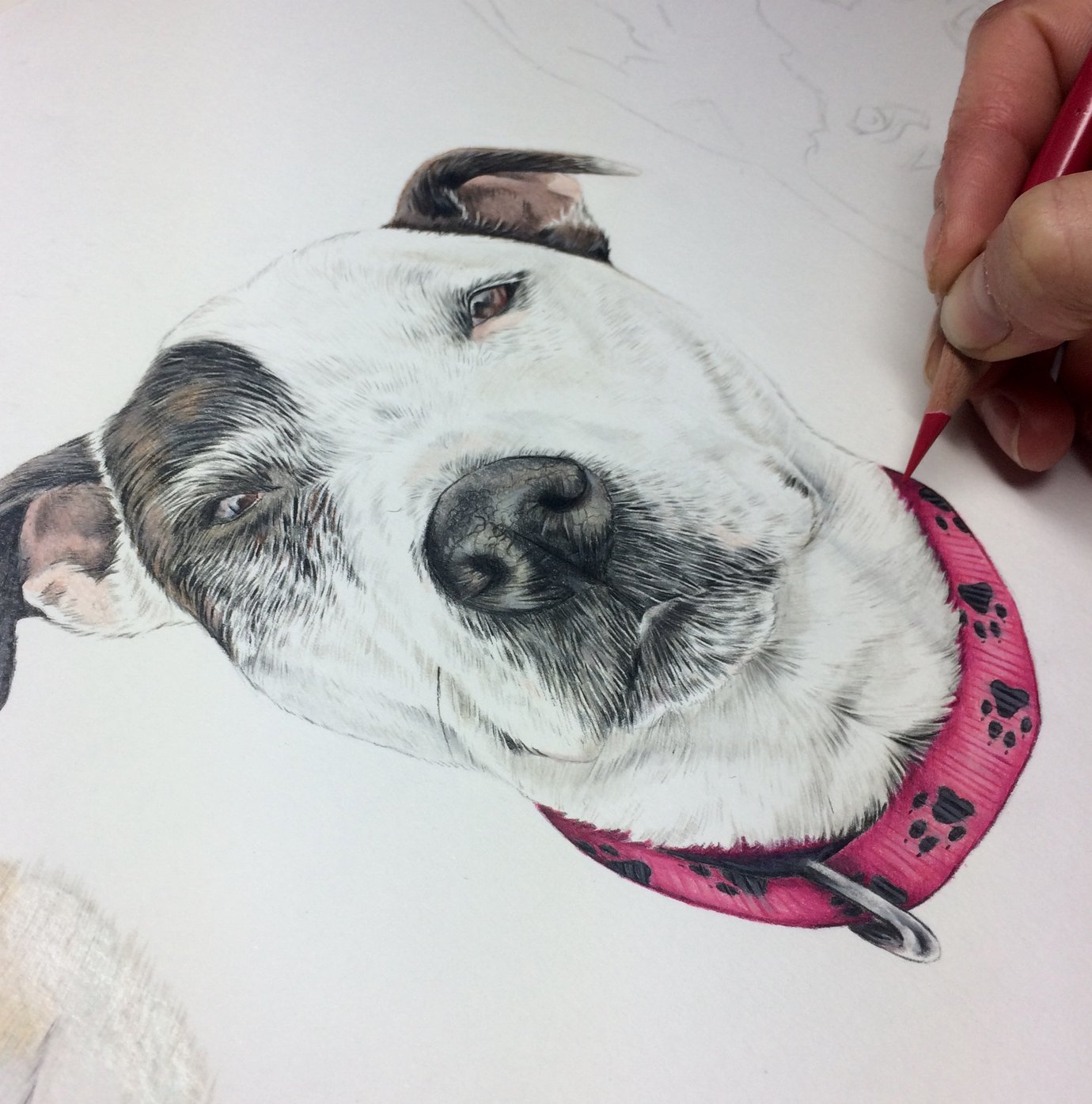 Gemma Duffield - Latest from Artist Studio | Artfinder