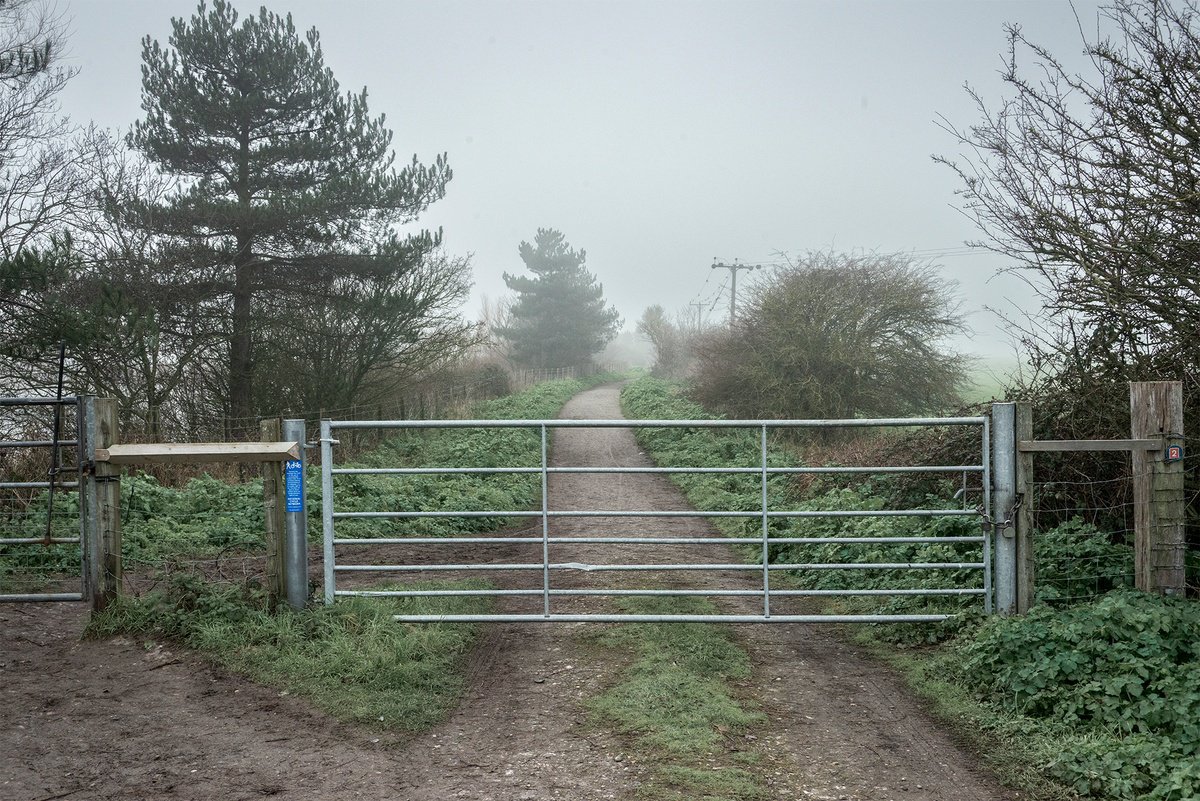 Seven Bar Gate Photograph by Adam Regan | Artfinder