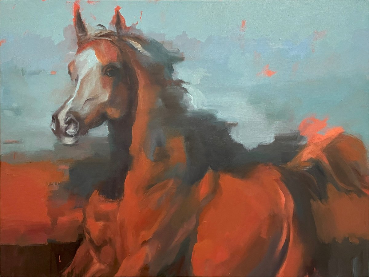 Equus Arabicus II Oil painting: Zil Hoque | Artfinder