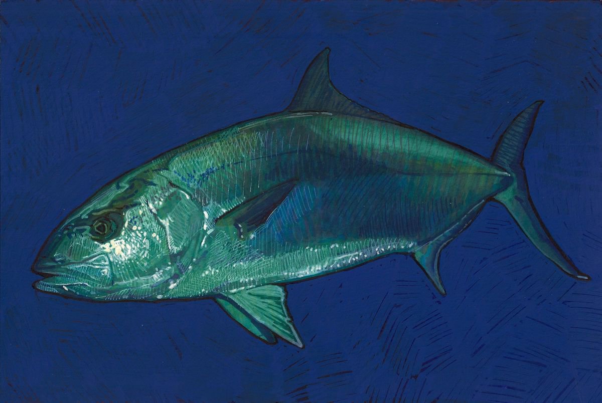 Amberjack 01 -SOLD- Drawing by Carlos J. Marquez | Artfinder