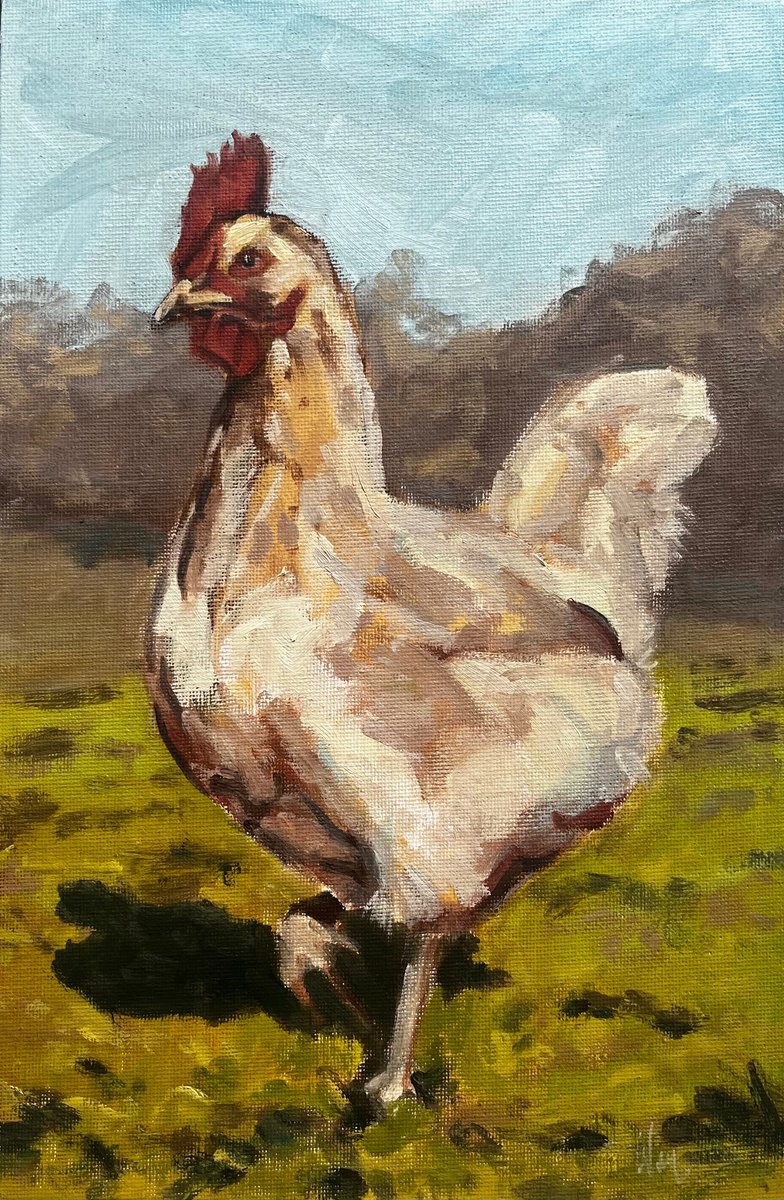 Chicken Oil painting by Cédric Visser | Artfinder
