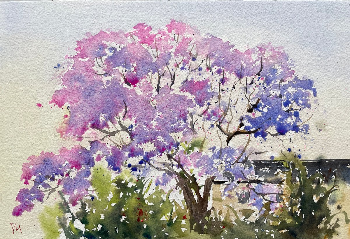 Jacaranda season Watercolour: Shelly Du | Artfinder