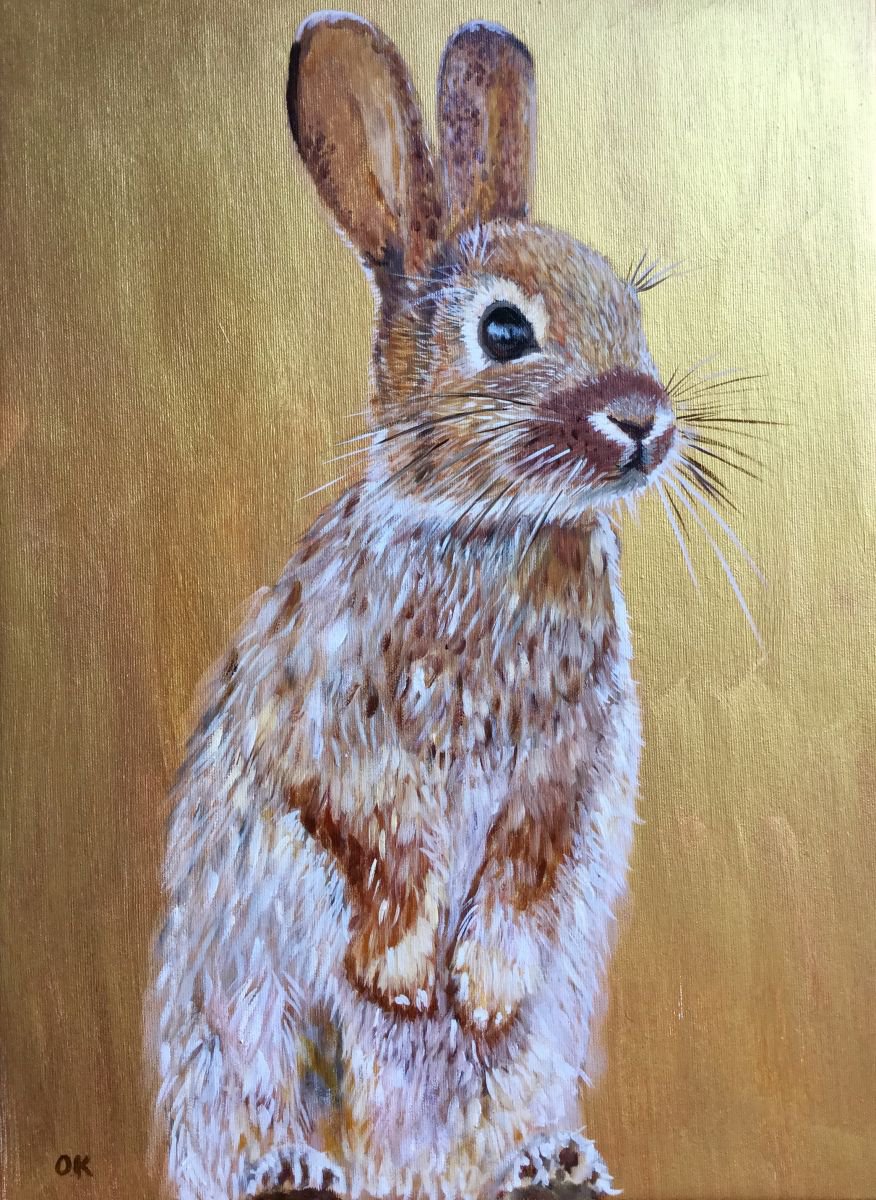 Rabbit . Prince with a thousand enemies . | Artfinder