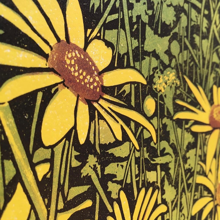 Black-eyed Susans Linocut: Susan Noble | Artfinder