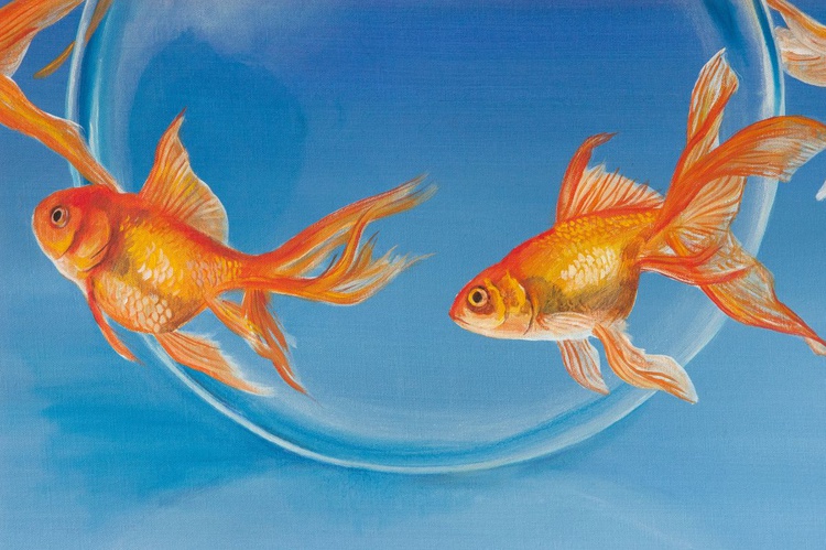 Goldfish II Acrylic painting by Daniel Loveday | Artfinder