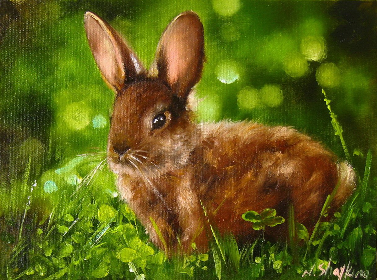 Rabbit Oil painting: Natalia Shaykina | Artfinder