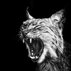 Roaring Lynx (2016) Photograph by Paul Nash | Artfinder