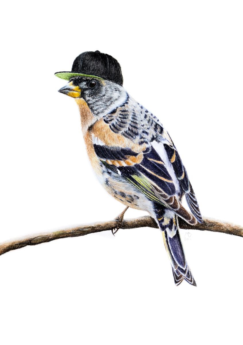 Original pastel drawing "Mr. Brambling" Pastel drawing: Mikhail ...