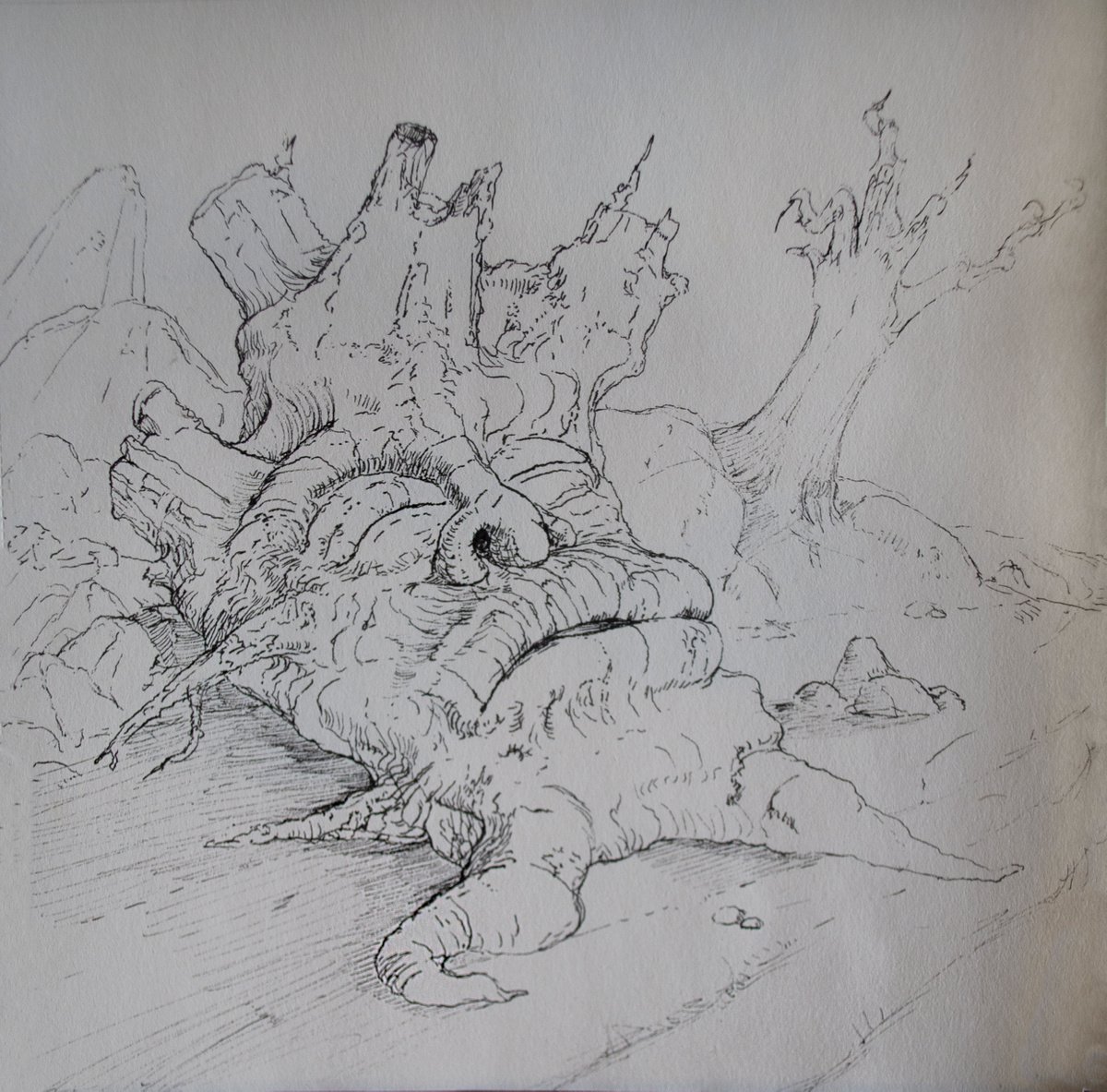 The Sleeping Treant Ink drawing by Nikola Ivanovic | Artfinder